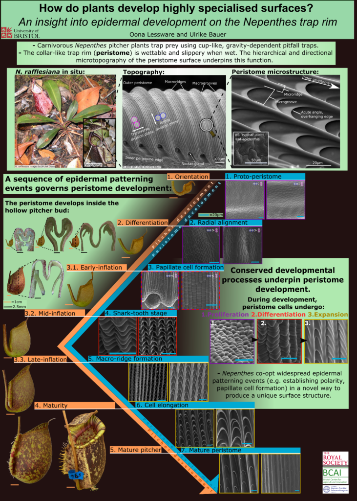 Posters – Mechanical Ecology Lab